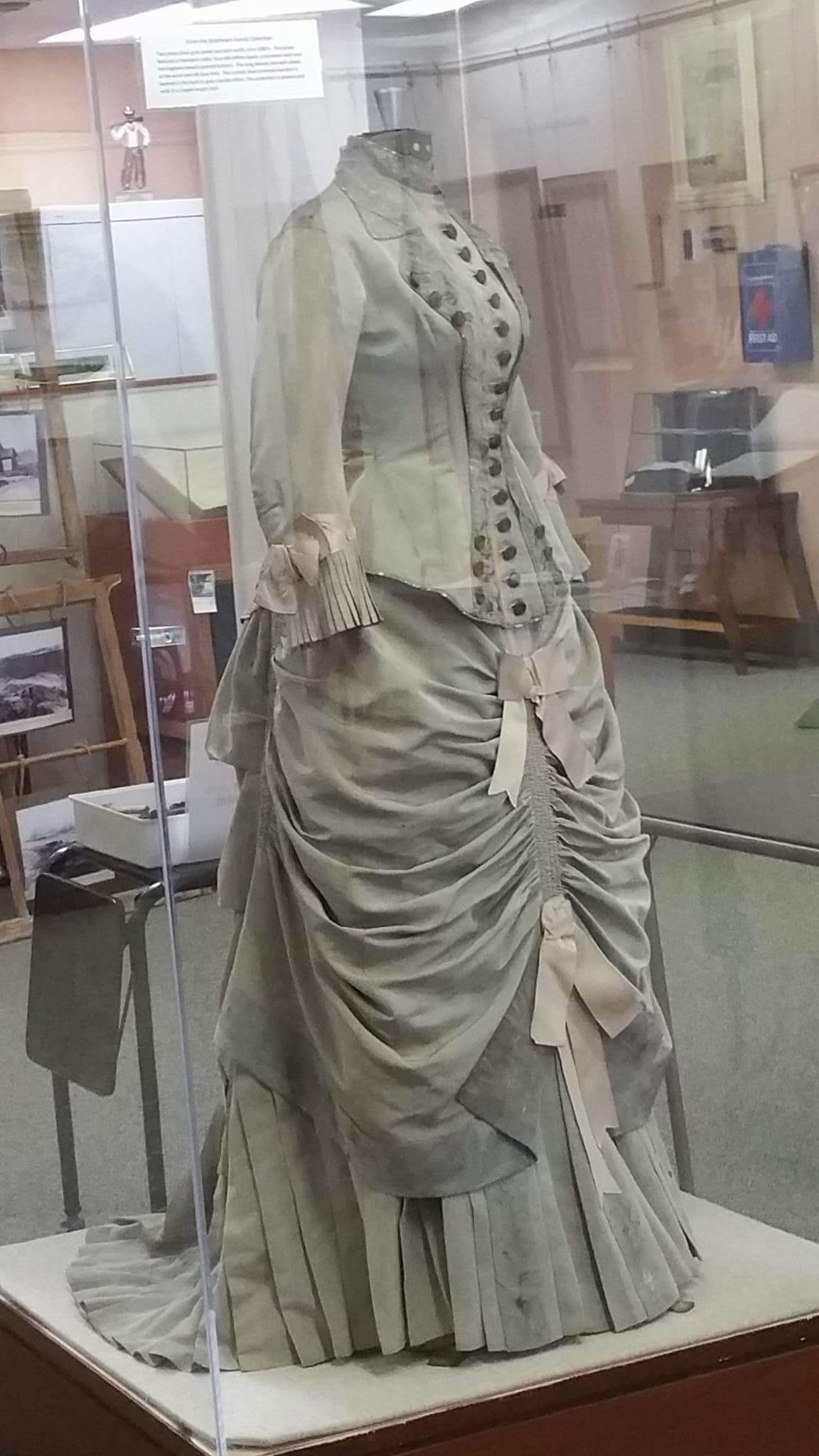 Strathearn Ranch Day Dress 1880s | Lily Absinthe